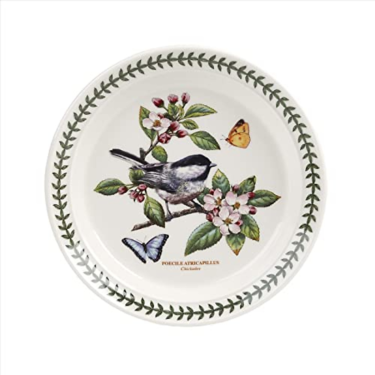 Portmeirion Botanic Garden Birds Collection Salad Plates | Set of 6 Plates 8.5 Inch with Assorted Bird Motifs | Made of Earthenware | Dishwasher and Microwave Safe | Made in England