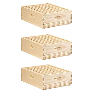 Little Giant MEDBOX10 10 Frame Medium Honey Super Beehive Brood Body Wooden Keepsake Box, Natural Unfinished Pine with Wax Coated Frames (3 Pack)