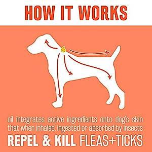 TropiClean Natural Flea & Tick Spot On Treatment for Medium Dogs 35 to 75 lbs.