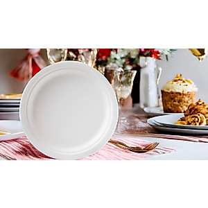 Susty Party 10-Inch Compostable Round (50-Count), Sugarcane Heavy Duty Disposable Biodegradable Plate for Dinner, White