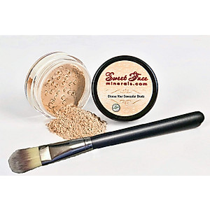 CONCEALER with BRUSH SET Full Size Mineral Makeup Powder Kit Sheer Bare Skin SPF 20 (Light Concealer)