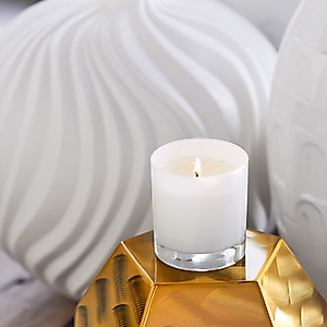 Trapp - No. 24 Wild Currant - 7 oz. Signature Candle - Aromatic Home Fragrance with Fruity Scent of Red Currant, Cassis Noir, & Spanish Moss Notes - Petrolatum Wax