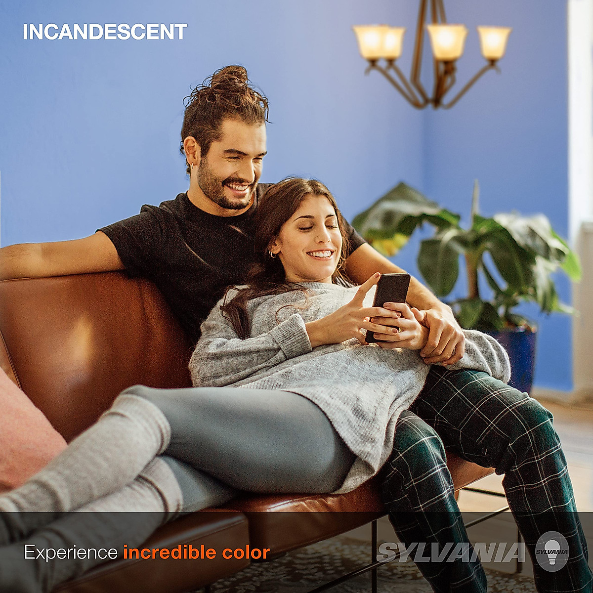 SYLVANIA Double Life Incandescent Light Bulb, B10, 15W, Candelabra Base, 65 Lumens, 3000K, Clear, Soft White - 6 Count (Pack of 1) (15318)