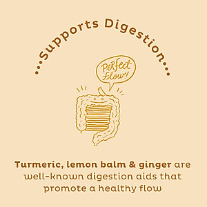 KOS Golden Mylk with Tumeric and Ginger, Organic Superfood Latte Powder, Adaptogen Mushroom Blend - Coffee Creamer, Dessert & Smoothie - Caffeine Free, Vegan, Dairy-Free, Gingerbread Chai, 28 Servings