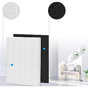 KEYJINIU - DX95 Filter Compatible with AeraMax 290 AeraMax 300 DX95 Contains (1 Filters + 4 Carbon Filters)