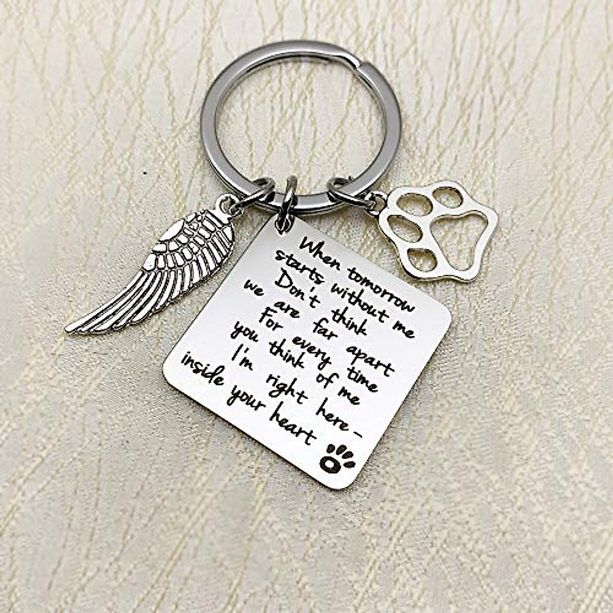 ShiQiao Spl Pet Bereavement Memorial Remembrance Gift - When Tomorrow Starts Without Me Paw Prints Keychain Dog Cat Loss Gifts for Pet Owner Sympathy Gifts