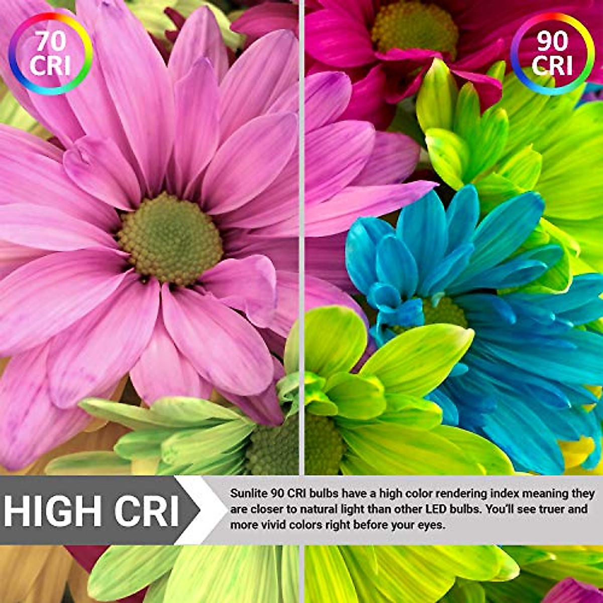 Sunlite 41696 LED G25 Edison Globe Light Bulb, 8.5 Watts (100W=), Medium E26 Base, 800 Lumens, Dimmable, Clear Glass, Antique Long Filament, 90 CRI, Title-20 Compliant, 2700K Soft White, 4 Count