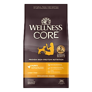 Wellness CORE Wholesome Grains Puppy Recipe, 12 Pound Bag