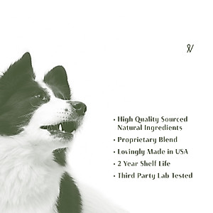 2024 Everpath Upgraded Respiratory Support for Dogs - 2 Fluid Ounces/60mls | Made in The USA | Boosts Immune Support & Healthy Breathing | Enhances Respiratory Function | Natural Solution for Pets
