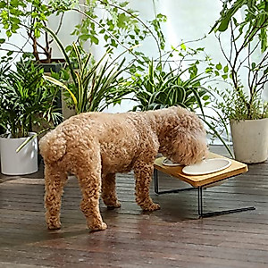 FUKUMARU Elevated Cat Ceramic Bowls, Small Dog 15° Tilted Raised Food Feeding Dishes, Solid Bamboo Water Stand Feeder Set for Cats and Puppy