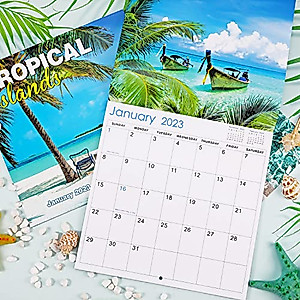 2023 Wall Calendar – Wall Calendar 2023-2024, 18 Months from Jan 2023 - Jun 2024, 12" x 24" (Open), 12" x 12" (Closed), 2023 Calendar with Daily Blocks, Perfect Calendar for Planning – Tropical Island