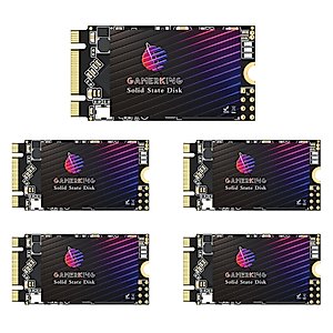 Gamerking SSD M.2 2242 64GB High Performance Internal Solid State Drive for Desktop Laptop 5 Unit Package Pack [64GB(5 Packs),M.2 2242]
