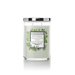 Colonial Candle Eucalyptus Mint Scented Jar Candle, Classic Cylinders Collection, 2 Wick, Green, 11 oz - Up to 80 Hours Burn