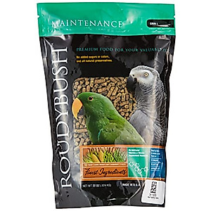 Roudybush Daily Maintenance Bird Food, Small, 22-Ounce