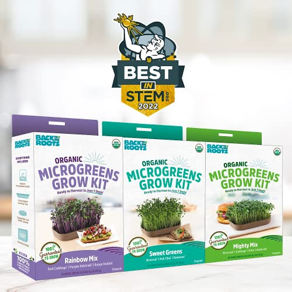 Back to the Roots DIY Microgreen Grow Kit, 6-Grow Variety Pack