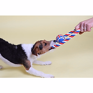 PET LONDON British Union Jack Rope Ring and Tennis Ball Dog Toy-English UK Colours for Dogs