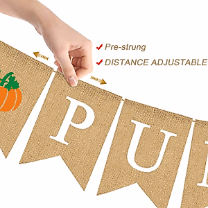 Jute Burlap Little Pumpkins Banner Fall Twins Baby Shower Gender Reveal Party Garland Decoration