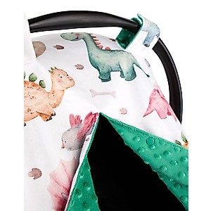 Top Tots Deluxe Minky Baby Car Seat Cover - Baby Dinosaur, 40 x 29 Inch Green