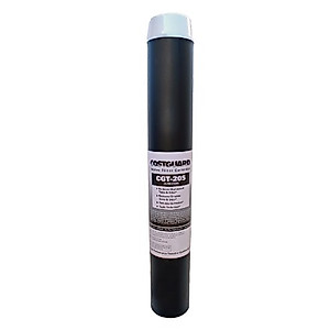 Everpure EV9108-33 CGT-20s Cartridge