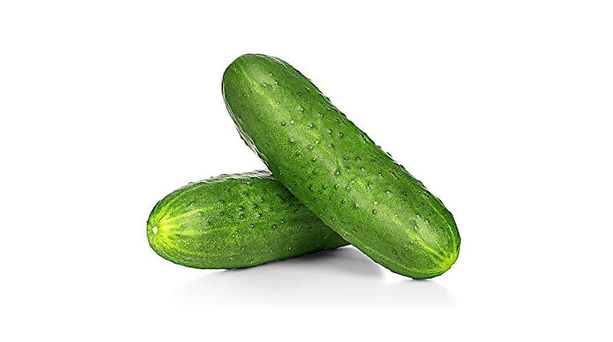 Grow Spacemaster Cucumber Seeds - High Yield Non-GMO Heirloom Seeds