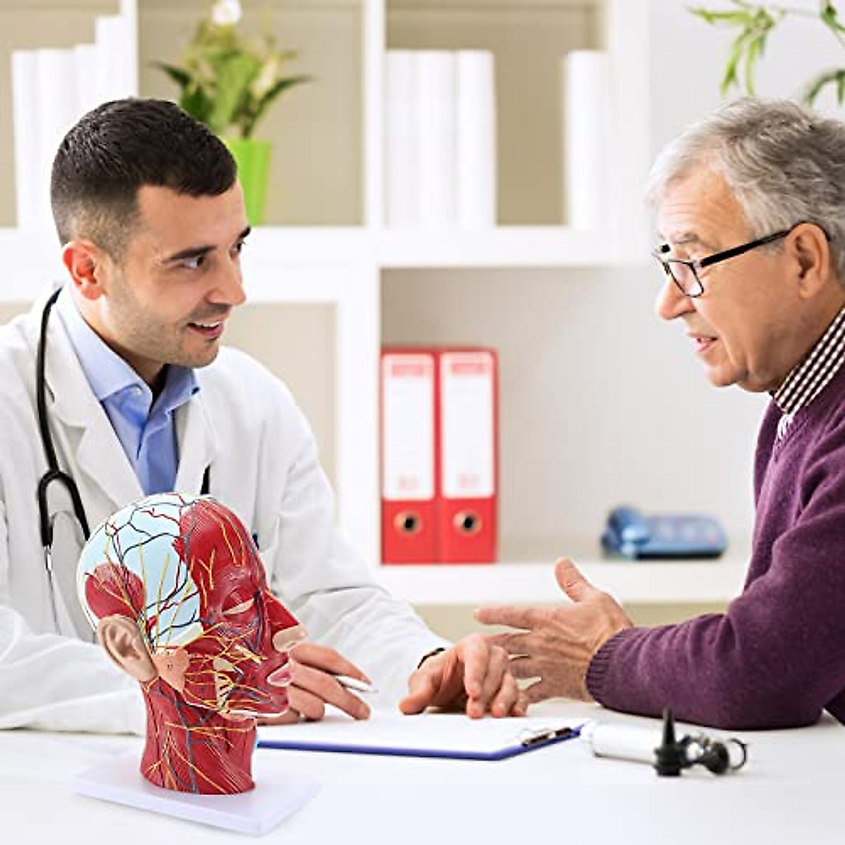 SKUMOD Study Model, 1:1 Human Head Superficial Neurovascular Model - Face Anatomy Medical Brain Neck Median Section Study Model, Teaching Tool