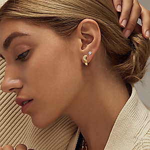 FUNRUN JEWELRY 16G Cartilage Earrings Stud Hoop for Women Stainless Steel Earrings Set Hypollergenic Helix Tragus Daith Forward Conch Piercing Jewelry(Gold)