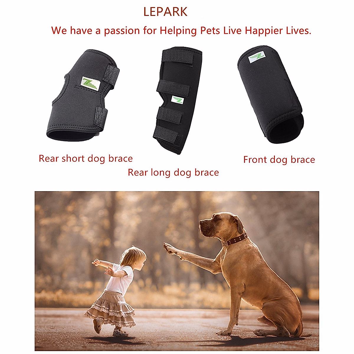 Rear Dog Leg Brace One Pair Heals Hock Joint Wrap Sleeve for Hind Legs(L/Long)