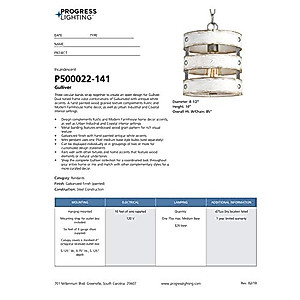 Gulliver Collection 1-Light Coastal Pendant Light Galvanized