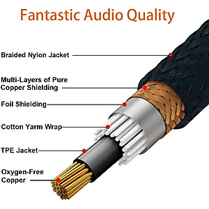 VOYZ Dual 1/4" TS Mono to 2 RCA Audio Cable - 6ft | PVC Shelled, Nylon Braided | Gold Plated Plugs | Ideal for Mixers, Amplifiers, Microphones, Speakers, Camera