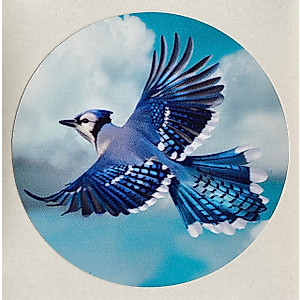 Retractable Screen Door Decals (Stickers) - 6 per Package - Keep Children Safe - Alert Birds, Dogs, Kids - Warn, Protect, Window Safety - Birds