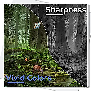 BJ Ink Cartridge Replacement for Canon PG-245XL CL-246XL Compatible with Canon PIXMA IP2820 MG2420 MG2520 MG2522 MG2924 MG3020 MG3022 MX490 MX492 Printer(1 Black,1 Tri-Color)