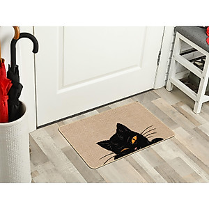 Black Cat Door Mat, Funny Cat Welcome Entrance Floor Mat, Non Slip Family Cat Decoration Indoor and Outdoor Entrance Mat 29 x 17 Inch Rubber Kitchen Doormat for Indoor Outdoor Holiday Decoration