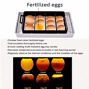 SSZYace 12-35 Egg Incubator, Incubators for Hatching Eggs with Automatic Turner, Egg Candler and Temperature Display, for Chicks, Quails, Ducks, Small Poultry