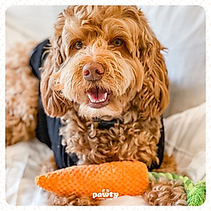 Pawty Dog Toys - Carrot Tug Rope Dog Toy - Squeaky Gift for Puppy Birthday - Cute Toys for Small to Medium Dogs - Durable Toy for Aggressive Chewer - Dog/Puppy Chew Food Shaped Toy - Tug Rope Dog Toy