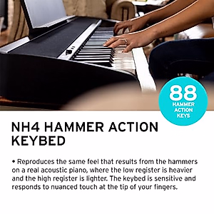 Korg B2 Portable Digital Piano with 88-Key Full Size Weighted Keyboard, Built-in Speakers, Music Stand, Sustain Pedal, and Power Supply (B2BK)