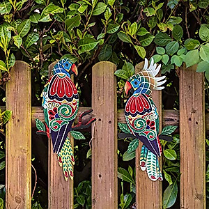 dreamskip Outdoor Wall Decor, 2 Pcak Parrot Decor, Outdoor Metal Wall Art, Mexican Birds Wall Sculpture, For Outside, Yard, Fence, Garden, Patio