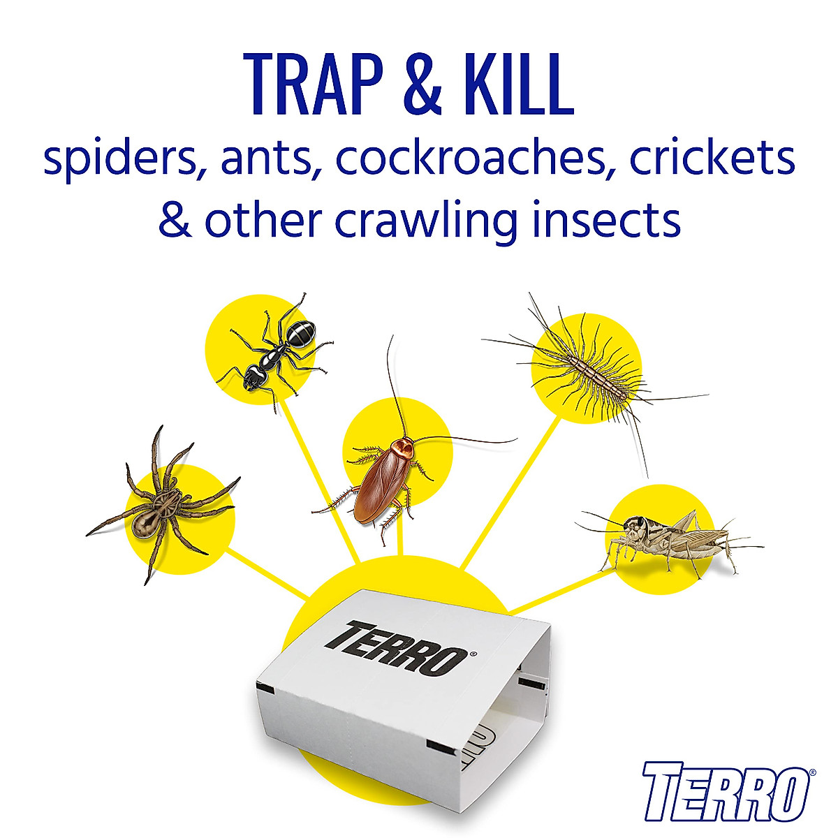 Terro T3206 Spider & Insect Trap, 4 Count (Pack of 1)