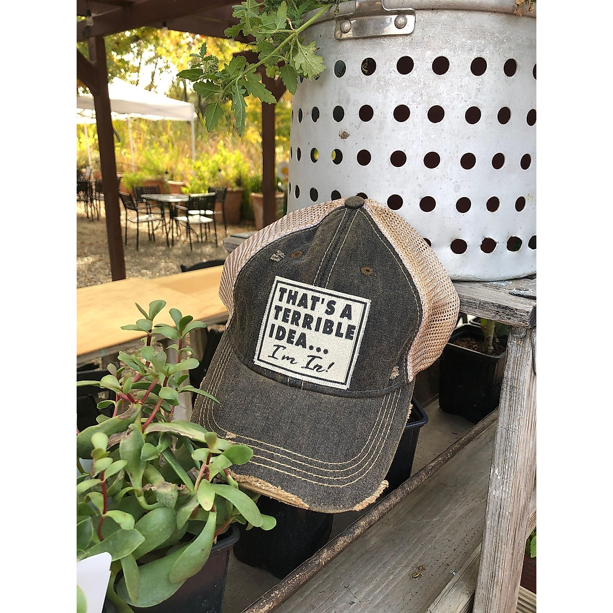 VINTAGE LIFE Women's Trucker Baseball Cap (Terrible Idea, I'm in (Black))