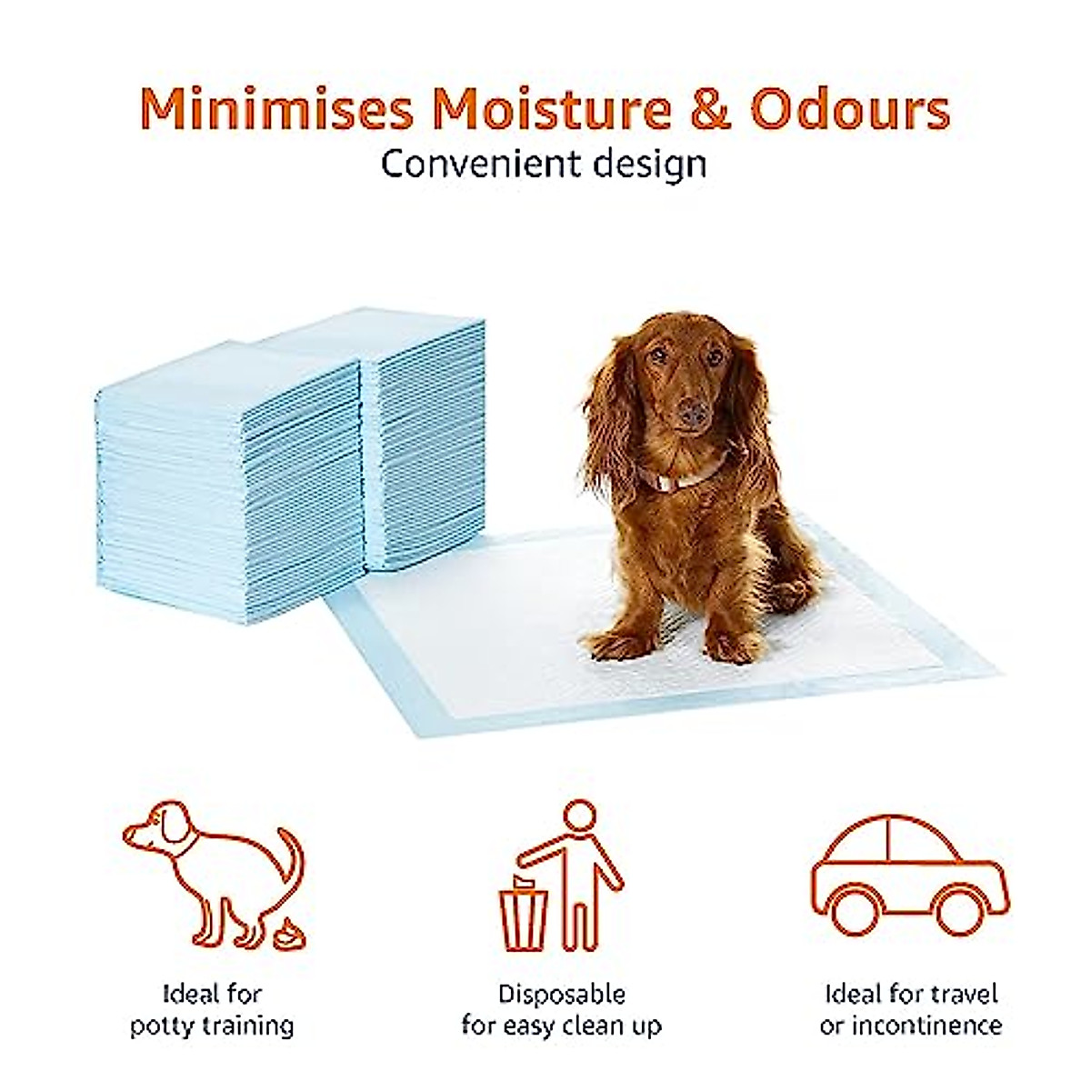 Amazon Basics Dog and Puppy Pee Pads with Leak-Proof Quick-Dry Design for Potty Training, Standard Absorbency, Regular Size, 22 x 22 Inches, Pack of 100, Blue & White