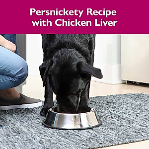 Bil-Jac Picky No More Medium & Large Breed Chicken Liver Recipe Dry Dog Food 6 Pounds (2-Pack)