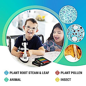 AmScope - 36pc Kids Prepared Microscope Slide Set of Color-Coded Zoological and Botanical Prepared Specimen Slides -PS-P12X3-A