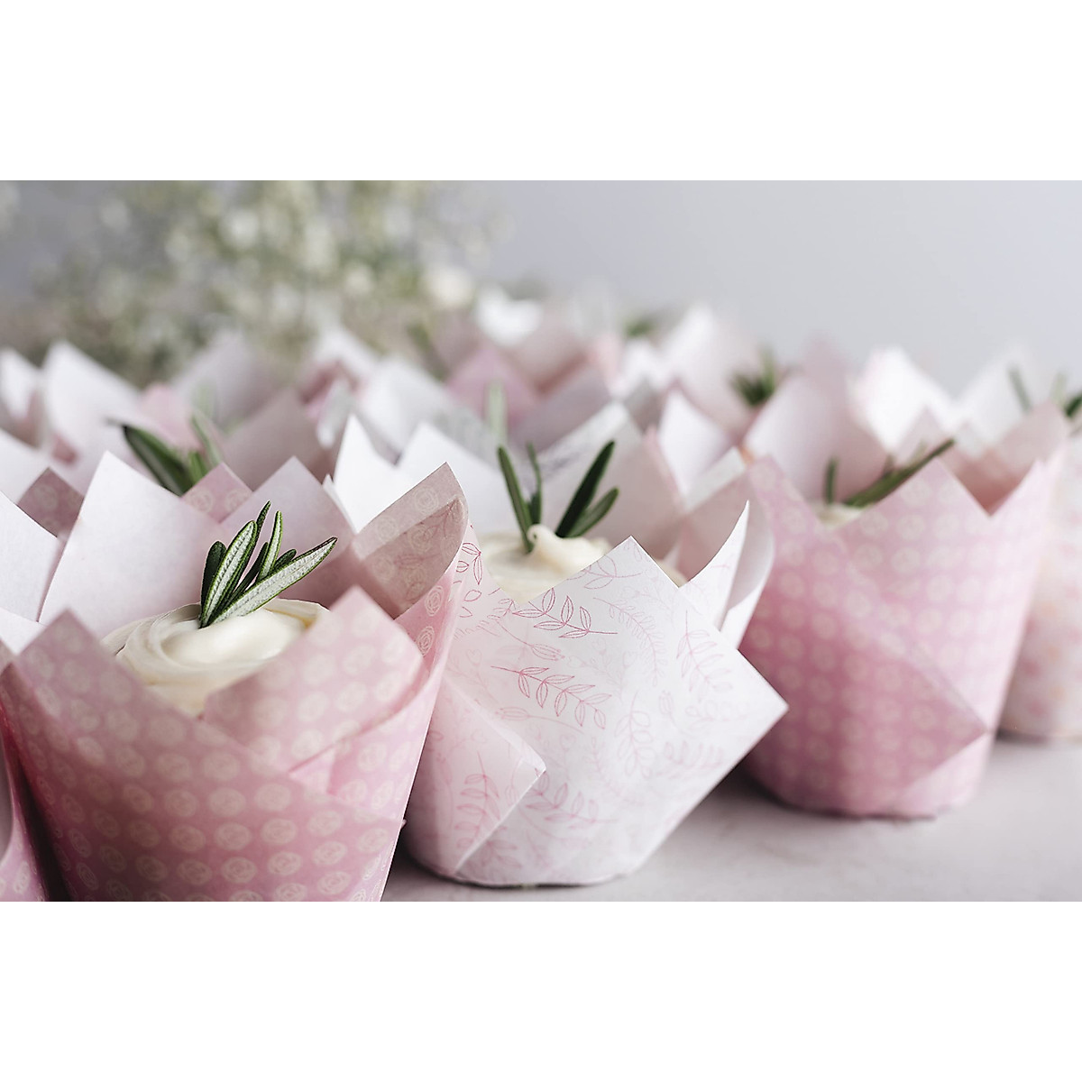 Ashleigh's Tulip Cupcake Liners - 100 Blush Ferns Cupcake Wrappers, Baking Cups, Muffin Cups, Cupcake Cups
