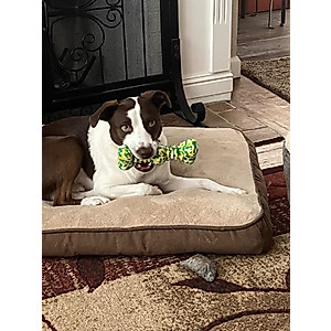 PawSailor Indestructible Chew Toys for Aggressive Chewers Medium Large Dogs Food Grade Bamboo Fiber Degradable Tough Teething Chew Toys Pet Toy Gift Green L