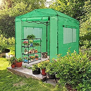 EAGLE PEAK 8x6 Portable Walk-in Greenhouse Instant Pop-up Indoor Outdoor Plant Gardening Green House Canopy, Front and Rear Roll-Up Zipper Entry Doors and 2 Large Roll-Up Side Windows, Green