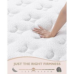 BedStory Full Mattress - 14 Inch Hybrid Mattress in a Box - Individually Wrapped Coils for Pressure Relief and Motion Isolation