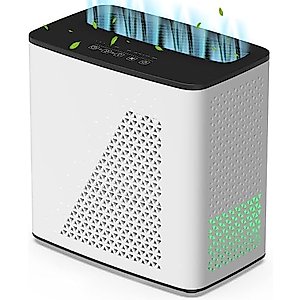 YIOU Air Purifier for Bedroom Home, Large Room Up to 547 Ft², H13 True HEPA Filter for Pets Hair, Wildfires, Smoke, Dander, Pollen, Quiet 20dB Air Cleaner for Office Living Room Kitchen Dorm