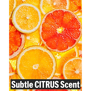 DASHU Premium Mega Hold Super Spray 8.45fl oz – Extra Strong Hold, Dryness Prevention, All-Natural Ingredients