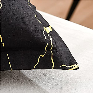 Holawakaka Black Gold Metallic Marble Duvet Cover Set Queen Size Foil Print Glitter Bedding Set (Black Queen, No Comforter)