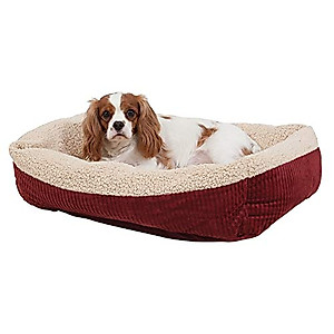 Petmate Aspen Pet 80136 Self Warming Rectangular Lounger For Pets, 24" x 20", Warm Spice With Creme, Barn Red/Cream