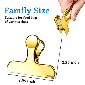10 Pack Gold Chip Clips, Stainless Steel 3 Inch Heavy Duty Large Bag Clips for Coffee Snack Bread Potato Bags Kitchen &Office Usage Metal Clips (GSJ-10)